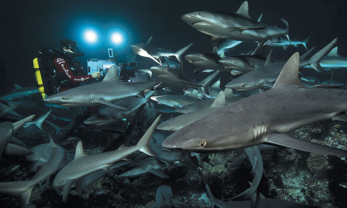 【シリーズ】次の世代に繋げるためのACTION–海のために時計ブランドができること | WATCHNAVI Salon